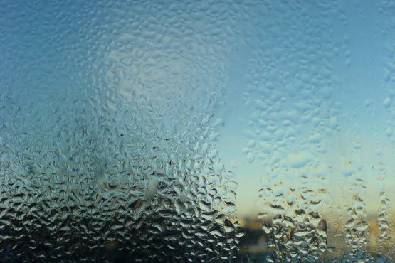 Damp Proofing London | Trusted Solutions for Damp Issues