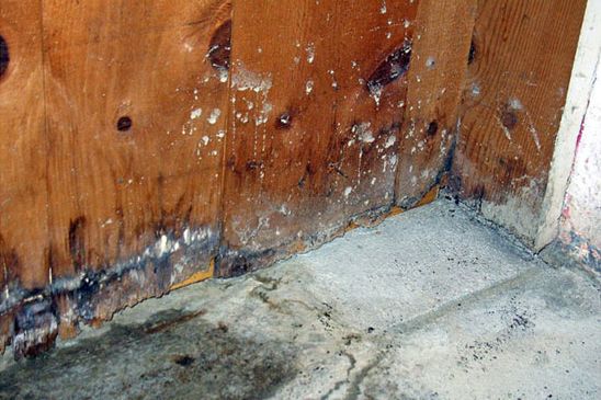 Damp Proofing London | Trusted Solutions for Damp Issues